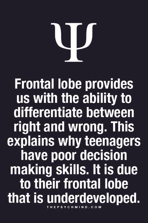 Understanding The Frontal Lobe Functions Disorders And More