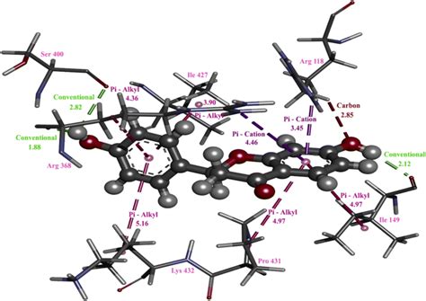 Intermolecular Interactions Of Lgn With The Na Enzyme Download Scientific Diagram