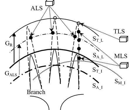 Schematic Relationships Between The Measurements Of Tree Heights And Download Scientific