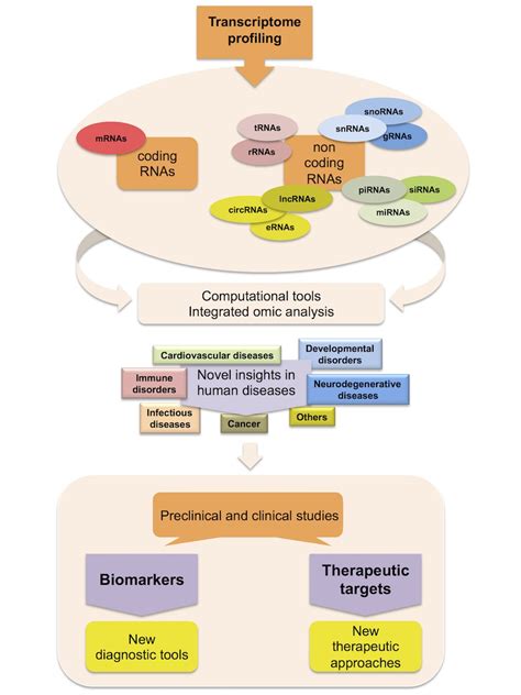 Transcriptome Profiling In Human Diseases New Advances And Perspectives