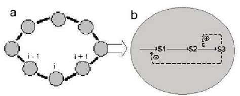 A The Multicell System Showing Diffusion To The Nearest Neighbours Download Scientific