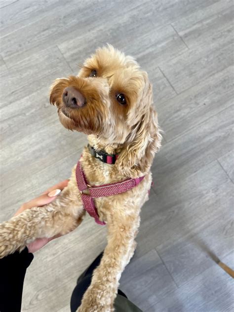 Alice Maynard On Linkedin Had A Great Time At Articad Ltd Head Office