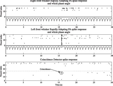 Figure 7 From Whiskerbot A Robotic Active Touch System Modeled On The Rat Whisker Sensory
