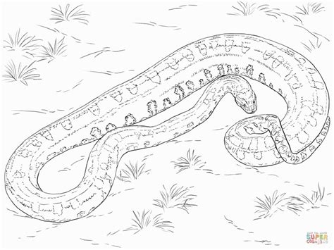 The Best Free Python Coloring Page Images Download From 61 Free