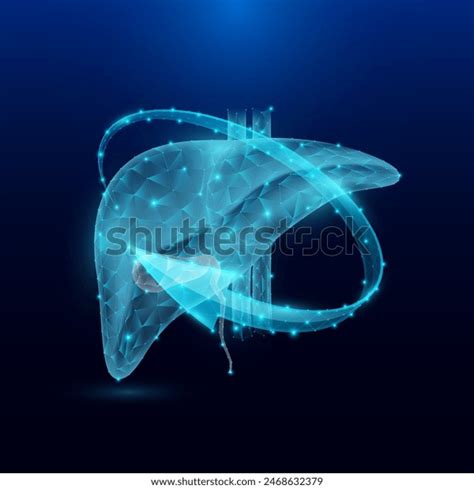 Liver Human Organ Anatomy Form Style Stock Vector Royalty Free Shutterstock