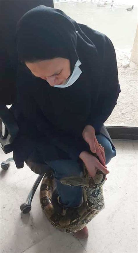 گفت‌وگوی حکیم مهر با دکتر سهیلا نیسی متخصص قارچ‌شناسی دامپزشکی و فعال