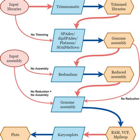 Karyon Pipeline Schematic Representation Of The Steps And Program Used Download Scientific