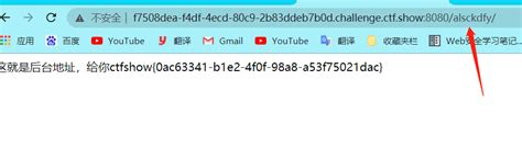 Ctfshow之黑盒测试380 395ctfshow Web380 Csdn博客