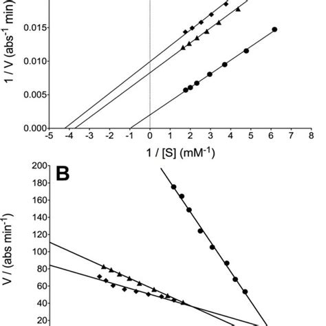 A Lineweaver Burk Double Reciprocal Plot And B Eadie Hofstee Plot Download Scientific