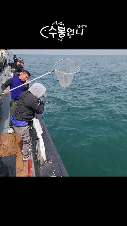 이 여자 낚시 좀 하네 Youtube