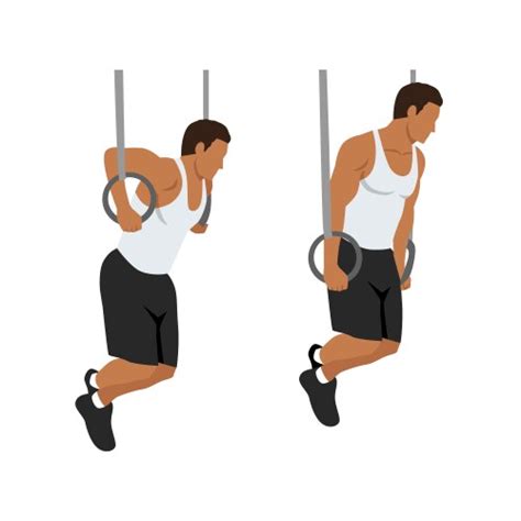 Tricep Dip Vector Images Over 110