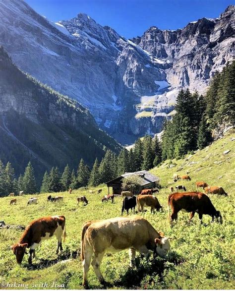 Pin By Jfcain On Switzerland National Parks Photography Landscape