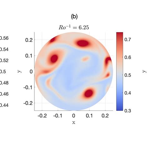 Comparison Of Instantaneous Snapshots Of Temperature In Rb Convection