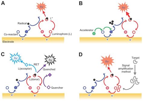 Mdpi Review Of Electrochemiluminescence Systems Biosensors Mdpi
