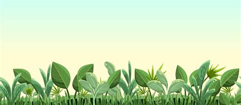 녹색 아침 열대 허브와 덤불 수평 원활한 구성 정글 초원 손바닥과 식물의 촬영 재미있는 만화 스타일 녹색 이국적인 풍경 벡터 관광에 대한 스톡 벡터 아트 및 기타 이미지