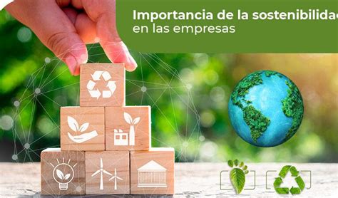 La Sostenibilidad Cada Día Es Más Parte Integral De Los Negocios Cambio16