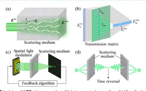Figure 1 From Wavefront Shaping Improves The Transparency Of The