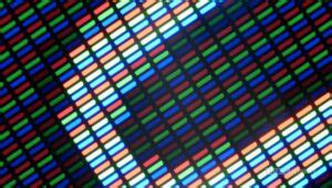 AMOLED Vs LCD All The Key Differences Explained Android Authority