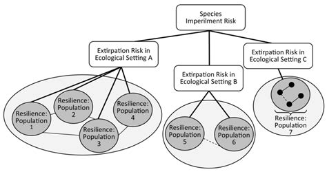 Conceptual Model Depicting The Hierarchical Relationships Among