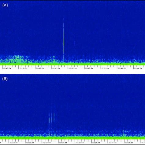 Example Spectrograms Of Single A And Multiple B Click Type I