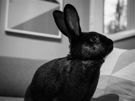 Tinyml Tinyml Da1qk Roboflow Universe