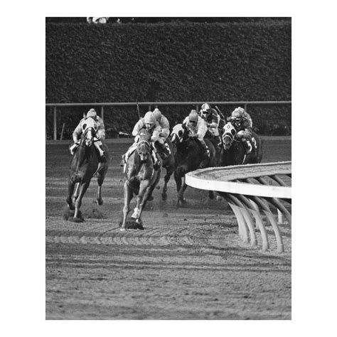 1968 Hollywood Park Horse Racetrack Photograph By Don Ware Chairish