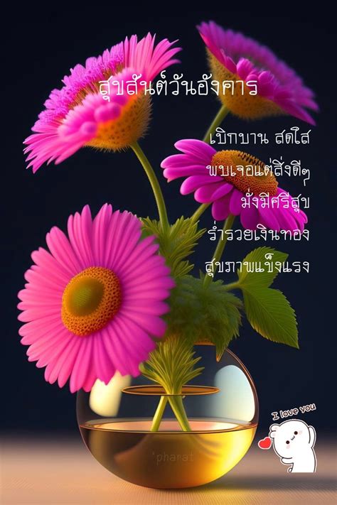 Pin Von ‘pharat Auf สวัสดีวันอังคาร