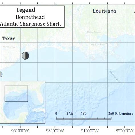 Map Highlighting Collection Sites Of Atlantic Sharpnose Shark And