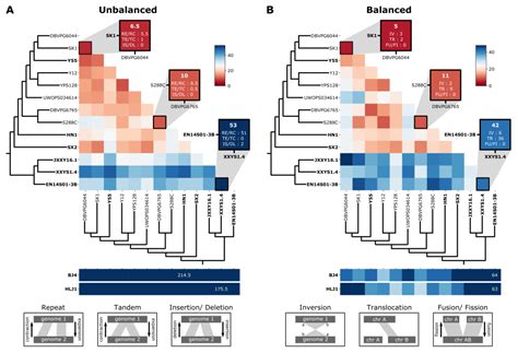 Fig4structuralvariants