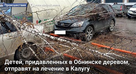Детей придавленных в Обнинске деревом отправят на лечение в Калугу