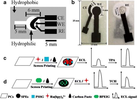 A Basic Design Of The Electrochemical Detection Cell For Paper Based Download Scientific