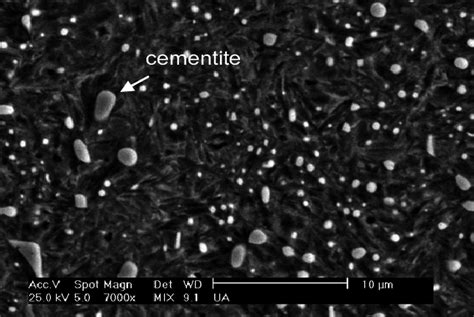 Two Phase Microstructure Of Aisi 52100 Hardened Steel 62 Hrc Download Scientific Diagram