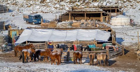 Малчиндаа давуу байдал олгож худаг гаргуулсан Засаг даргыг шалгаж дуусав ТАС МН