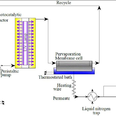 Schematic Representation Of The Experimental Apparatus Download