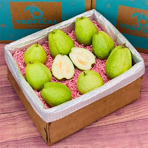 China White Guava Fruit Box Small 3 Pounds