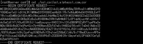 Apache x mod ssl OpenSSLのCSR生成方法 信頼の国産CAなら格安のアルファSSL公式サイト