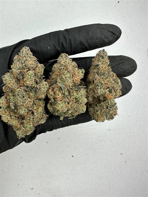 Root Beer Blast Rweedporn