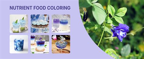 Butterfly Pea Flower Powder 4oz Natural Blue Food
