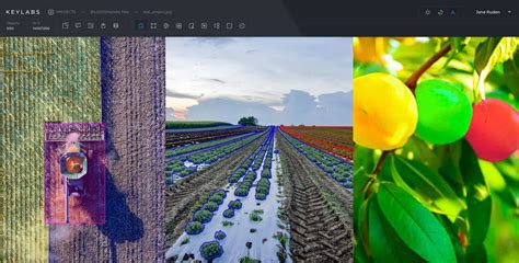 Data Annotation Tool For Ai In Agriculture Keylabs