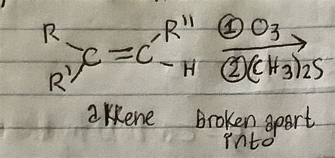 OCHEM II SUMMER EXAM Flashcards Quizlet