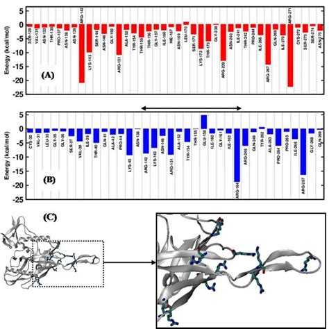 Structure Of Gp120 Top View With Different Regions Labeled The Download Scientific Diagram