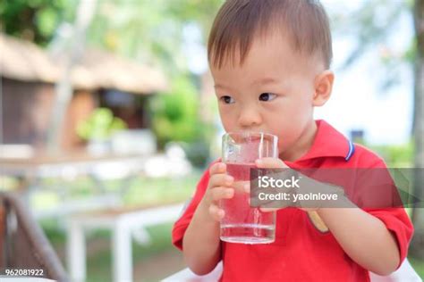 귀여운 작은 아시아 18 개월 1 년 오래 된 유아 소년 아이 들고 혼자서 물 잔을 마시는 높은 자에 앉아 가족에 대한 스톡 사진 및 기타 이미지 Istock