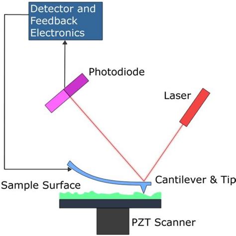 Atomic Force Microscopy Afm Contact Scanning Mode
