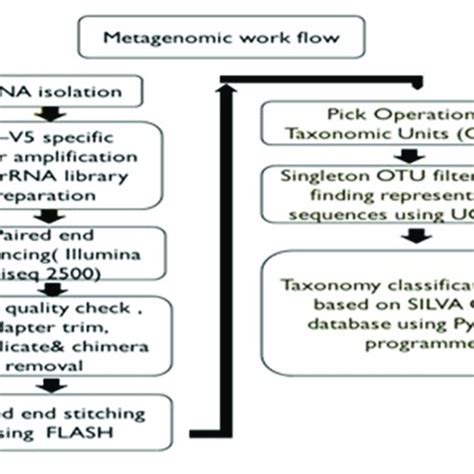 Pipeline For Metagenomics Analysis Download Scientific Diagram
