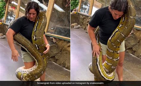 महिला ने कंधे पर उठाया भारी भरकम विशाल अजगर वीडियो देख लोगों की निकल