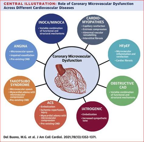 各种心血管疾病中的冠状微血管功能障碍 Journal Of The American College Of Cardiology X Mol