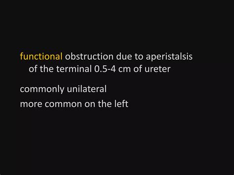 Primary Megaureter Imaging Findings Pptx