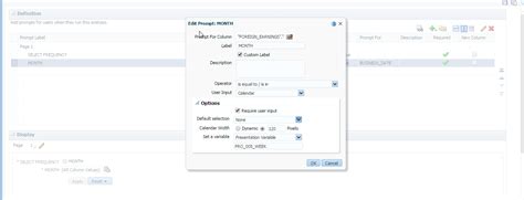 How To Change Calender Format In Obiee 11g When Applied Column Prompt