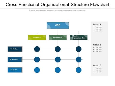 Cross Functional Organizational Structure Flowchart Ppt Powerpoint Presentation Icon Portfolio Pdf