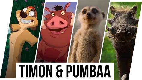 Timon And Pumbaa Evolution In Movies And Tv Shows And Cartoons 1994 2024